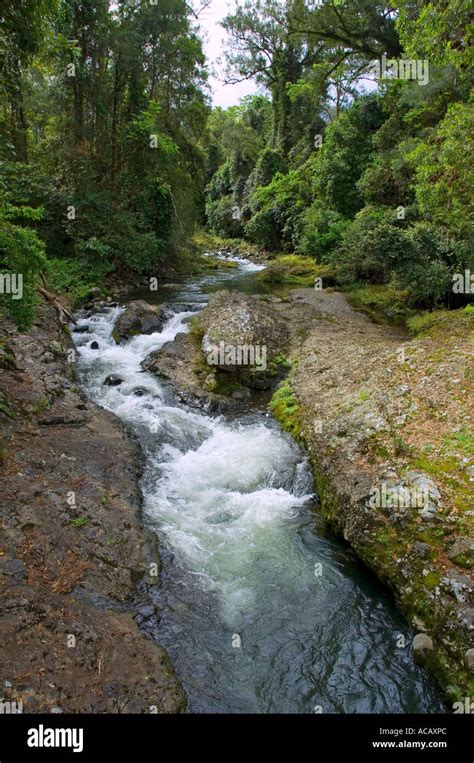 Running Stream Ý Nghĩa Ví Dụ Câu Và Cách Sử Dụng Từ Running Stream