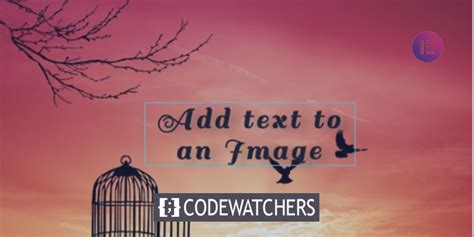 So Fügen Sie Text über Einem Bild Auf Elementor Hinzu Codewatchers