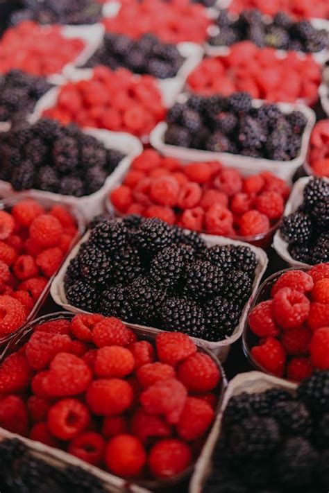 건강한 식생활 검은색 계절 과일 과일 바구니 과즙이 많은 노화 방지제 농산물 시장 농업 농작물 다이어트 다채로운 디저트 라즈베리 맛있는 바구니