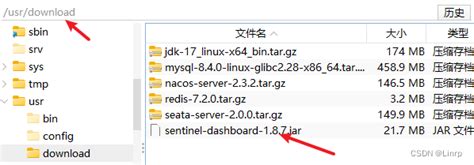 Linux安装sentinel1 8 7 Csdn博客