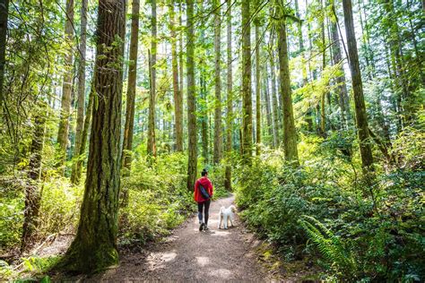 Bainbridge Island Nature And Birding Itinerary