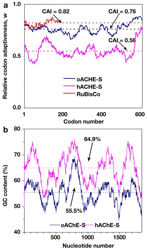 Comparison Of The Codon Usage And GC Content Of HACHE S And OACHE S Download Scientific