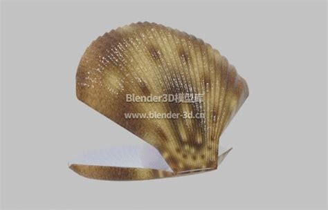 Blender 珍珠贝壳3d模型素材资源免费下载 Blender3d模型库