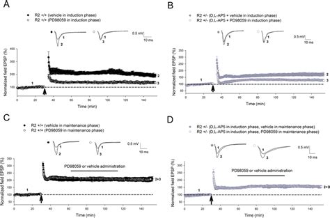 The Mapk Signaling Cascade Plays A Role In The Induction But Not