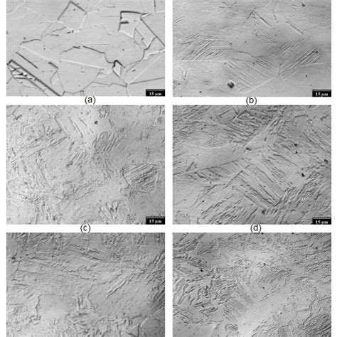Evolution Of Microstructure From Austenitic To Austenitic Martensitic Download Scientific