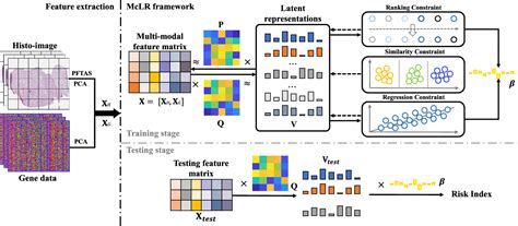 Figure 1 From Multi Constraint Latent Representation Learning For Prognosis Analysis Using Multi