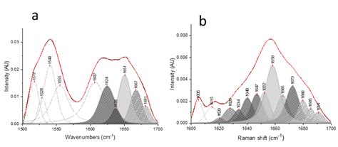 Ftir Spectroscopy Protein Structure At Harry Cory Blog