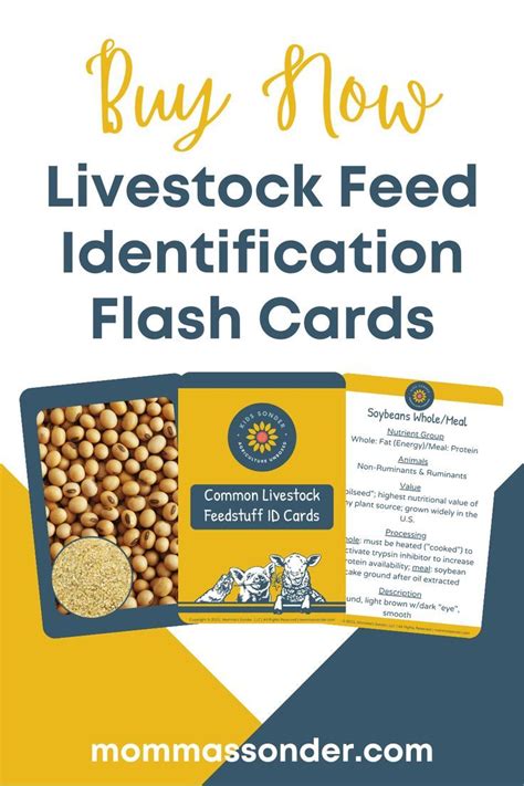 Flashcards Common Livestock Feedstuff Identification Set Nutrition