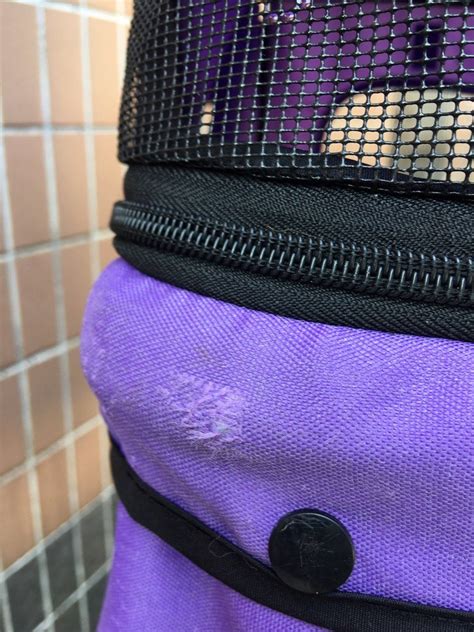 Bello 寵物車二手已經清潔有輕微破損可看圖片新舊如圖運作正常西貢區取 寵物用品 寵物家品及其他 Carousell