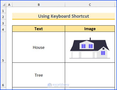How To Paste Image Into Excel Cell From Clipboard 2 Easy Ways