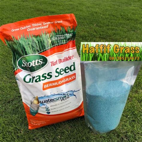 Jual Benih Rumput Bemuda Biji Rumput Lapangan Sepakbola Shopee Indonesia