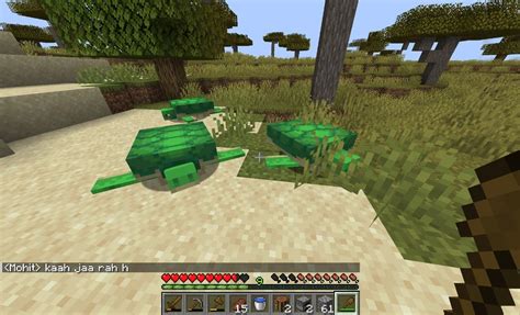 Something Isnt Adding Up I Am Playing On Java And No Its Not Modded