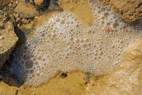 Sea Or Ocean Shore With Water Wave Texture Pattern Stock Image Image Of Leaf Foam 330294951