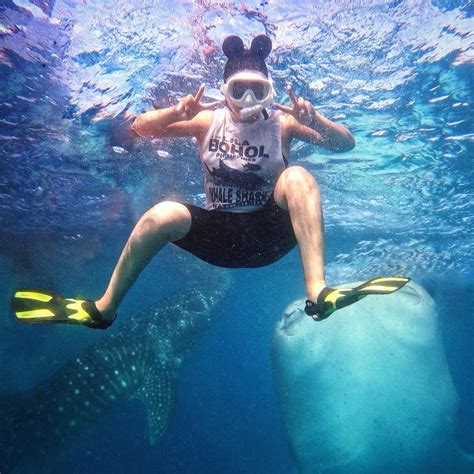 보홀 호핑투어 추천 고래상어 현지 발리카삭 거북이 스노쿨링 네이버 블로그