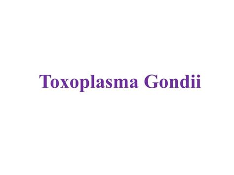 Toxoplasma Pptx Biological Sciences Science