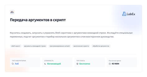 Освоение аргументов Shell скриптов от основ до продвинутого
