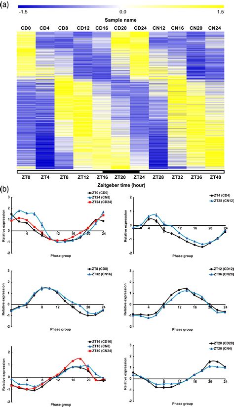 Time‐series Transcriptomics Reveals A Drought‐responsive Temporal