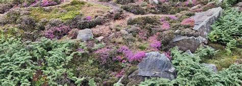 Connecting Apache Flink Sql To Confluent Cloud Kafka Broker