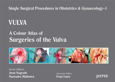 Single Surgical Procedures In Obstetrics And Gynaecology 01