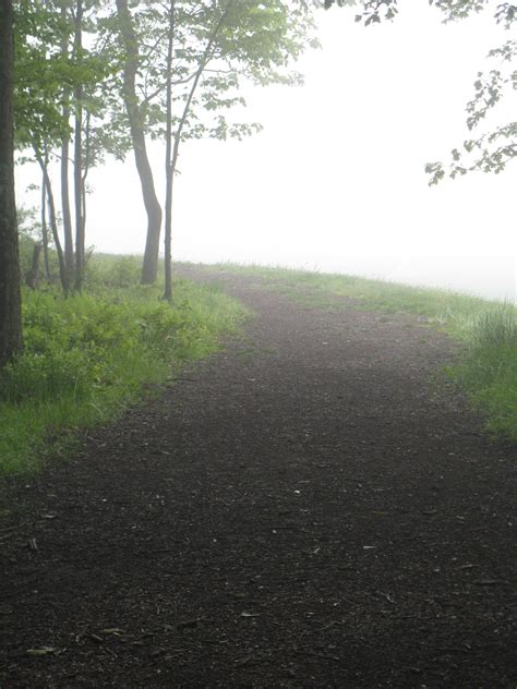 Free Images Tree Forest Grass Fog Mist Field Lawn Meadow