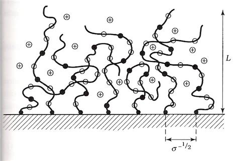 Schematic Representation Of The Configuration Of A Polyelectrolyte