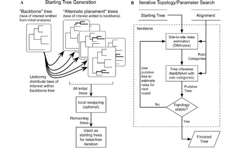 Strategy For Tree Based Site Partitioning A A Backbone Tree Is