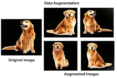 how data augmentation can drastically improve your object detection