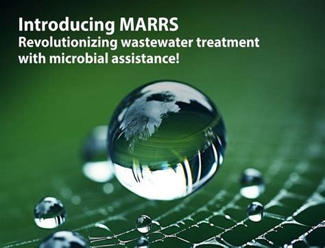 Introducing Marrs Greenwts