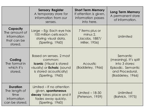 Psycholgy Memory Msm Wmm Cognitive Interview Ltm Teaching