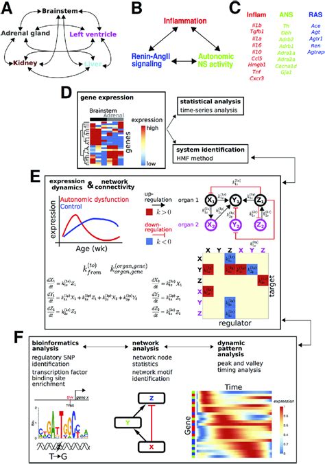 Conceptual Experimental And Analytic Framework For Examining