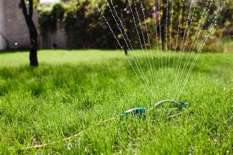 How Often To Water Your Lawn In The Summer