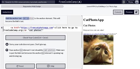 Please Help On Step 11 Html Css Html Css The Freecodecamp Forum