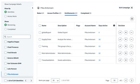 Activity Insights SailPoint Identity Services