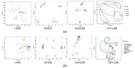 visualization of cell clustering results a engel s data set cells are