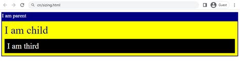 CSS Sizing Units Naukri Code 360