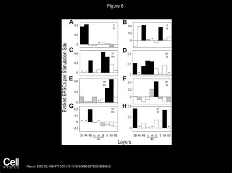 Diversity And Cell Type Specificity Of Local Excitatory Connections To