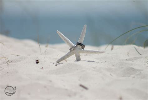 بهترین دیزاین برای تم عروسی ساحلی تشریفینو