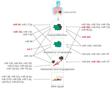 How To Detect Contamination In Pcr