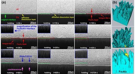 A Synchrotron Radiation Real Time Images Illustrating The Download