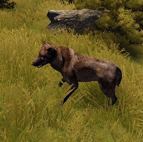 Wolf Rust Wiki Fandom