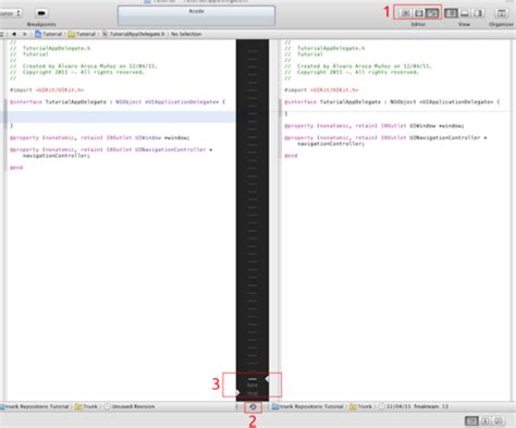Tutorial SVN Xcode Blog Informáticos Murcia