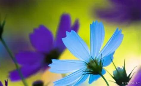 Directinput故障排除：xinput13dll丢失的三大应对策略揭秘！directinputdll Csdn博客