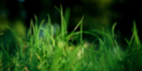 Careers Jdl Vegetation Management 530 709 2166