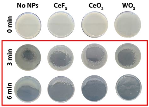 Biomedicines Free Full Text Synergistic Antimicrobial Effect Of Cold Atmospheric Plasma And