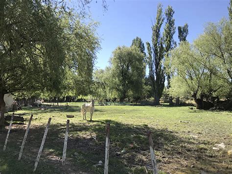 Cona Niyeu Real Patagonia