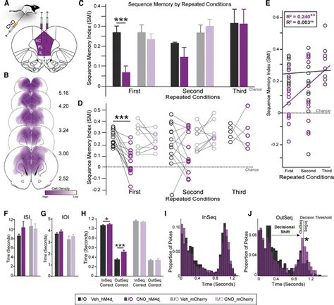 Mpfc Cortex Is Needed For Sequence Memory A Aav9hm4di Was Injected Download Scientific