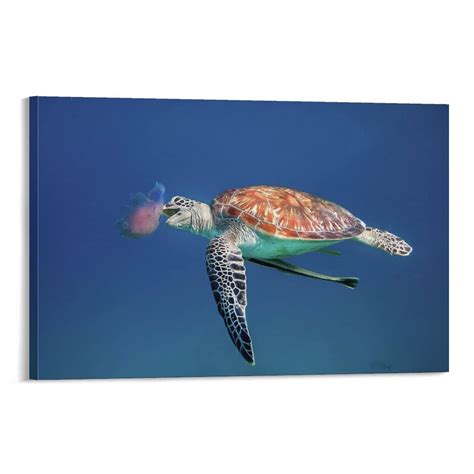 Turtle Eating Jellyfish