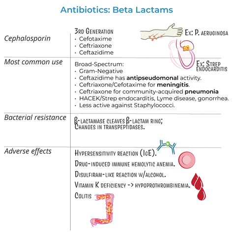 Immunology Microbiology Glossary Beta Lactam Antibiotics Ditki Medical And Biological Sciences