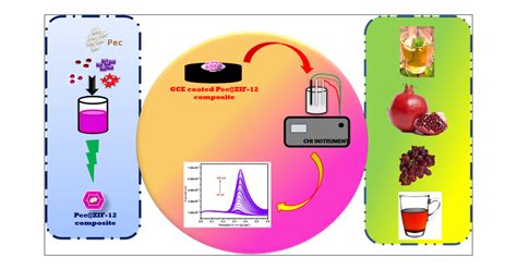 Natural Polymer Encapsulated Zeolitic Imidazolate Framework 12 Composite Toward Electrochemical