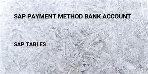 Sap Payment Method Bank Account Table In SAP